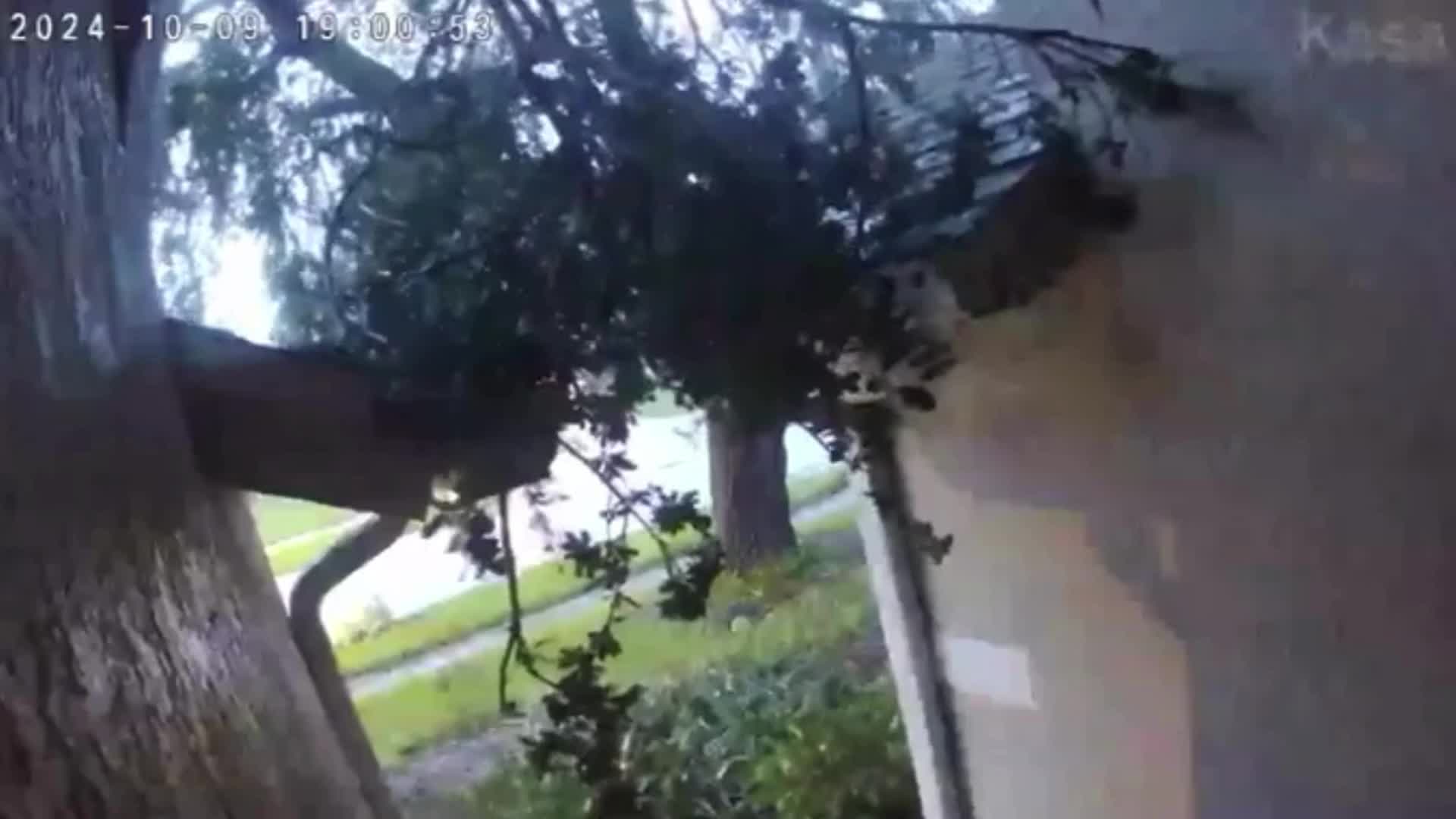 Tree Limb Falls on House during Milton – WFLA