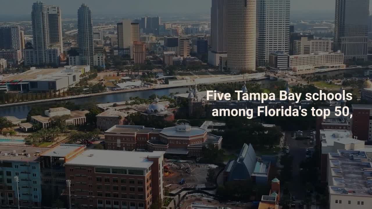 Five Tampa Bay schools ranked in Florida’s top 50 – WFLA