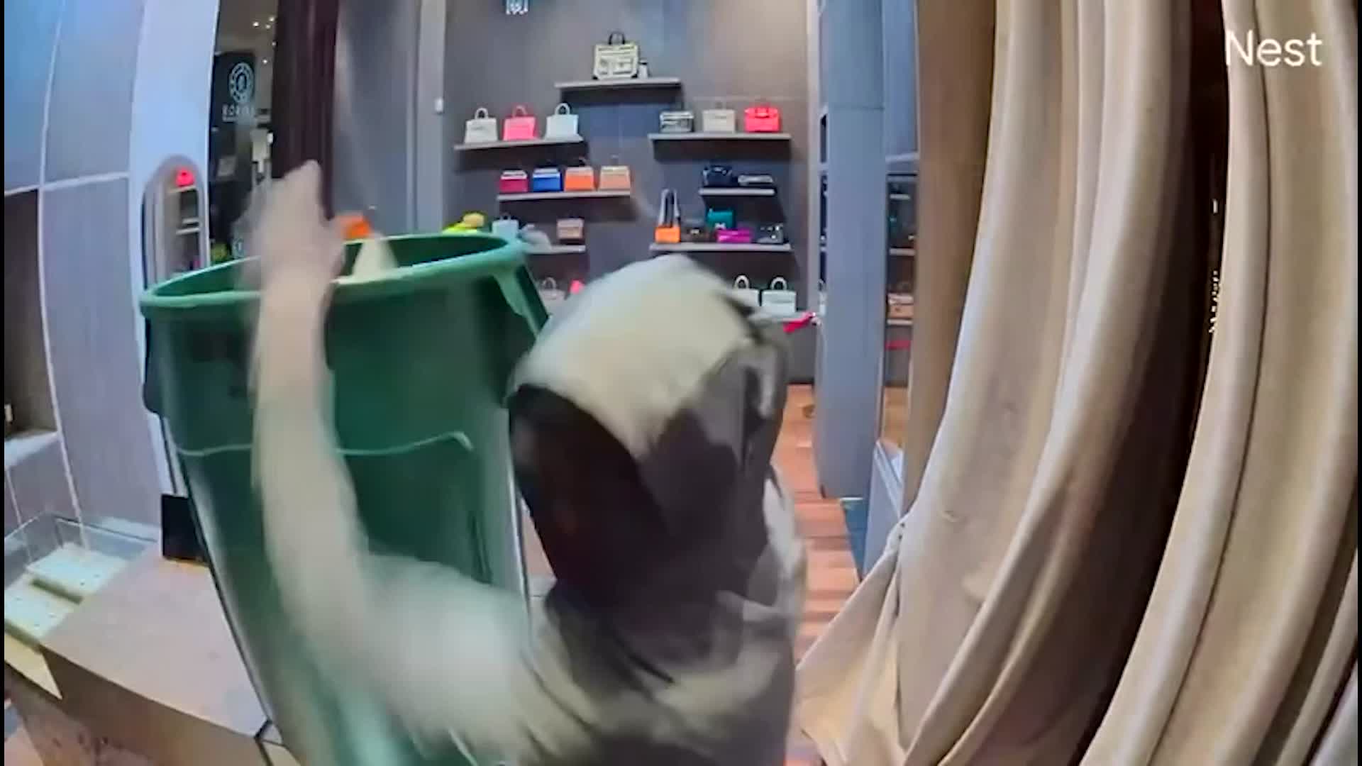 New video shows robbery at Tampa and Miami stores – WFLA