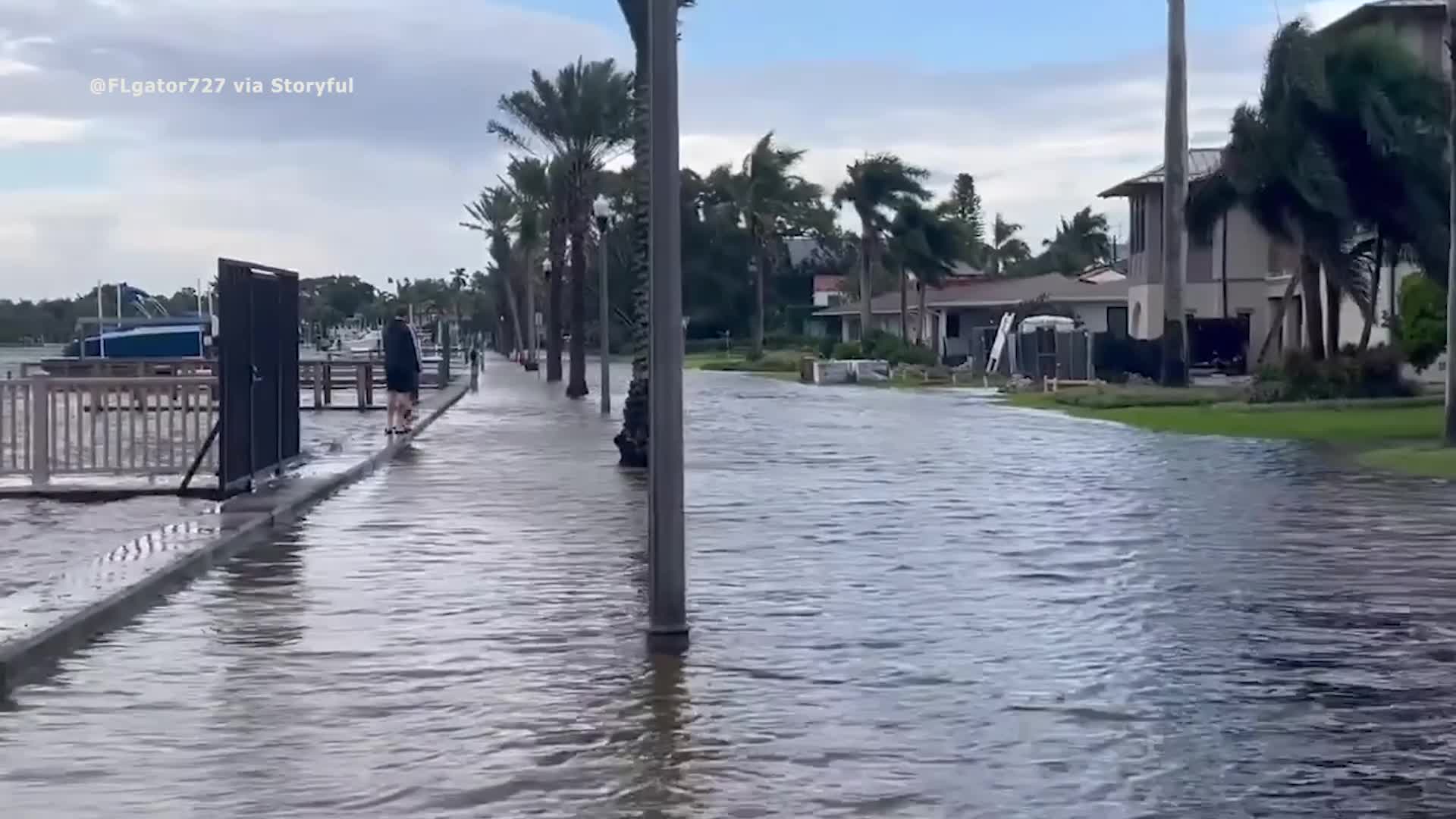 ‘Saw Some Fish Swimming Around by My Feet’: St Petersburg Inundated ...