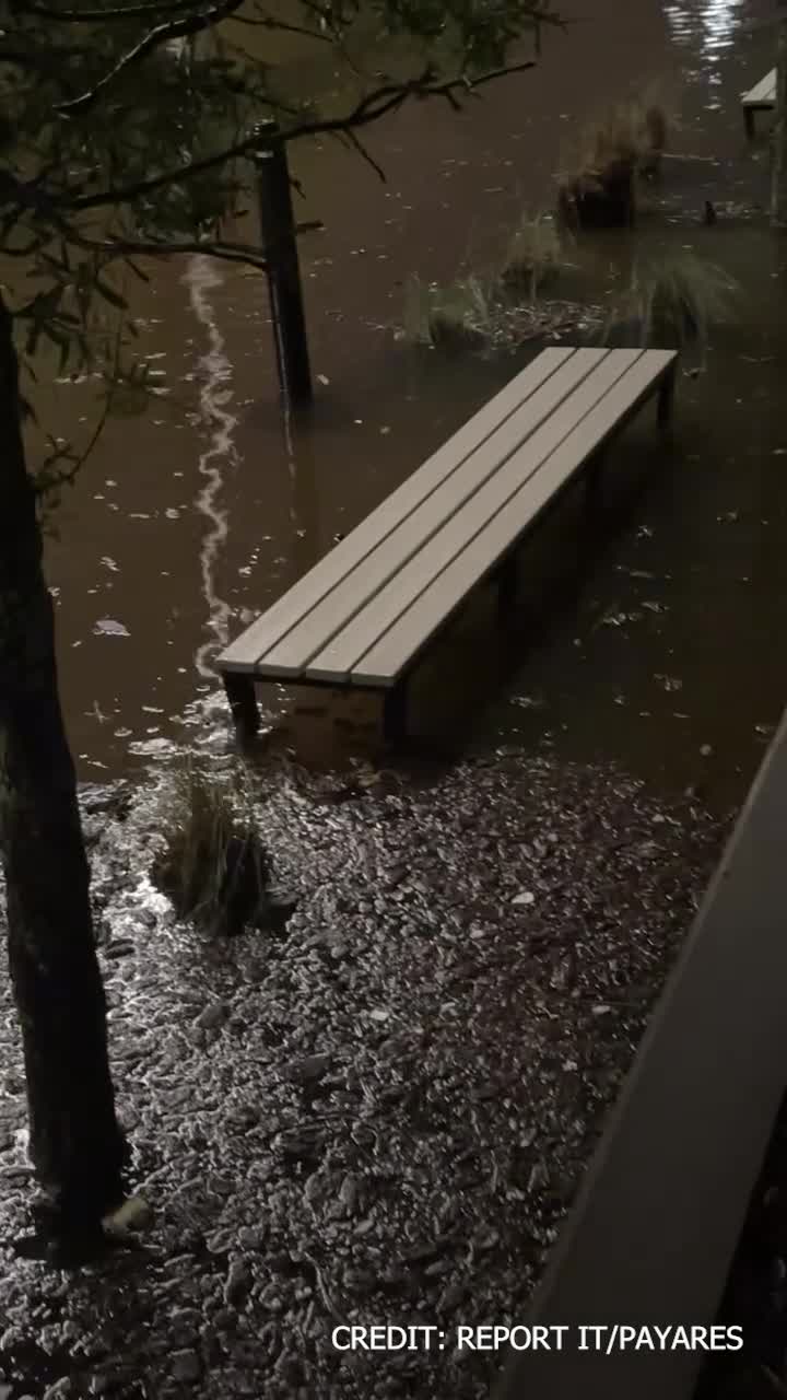 VIDEOS: Hurricane Helene leaves behind damage across Tampa Bay – WFLA