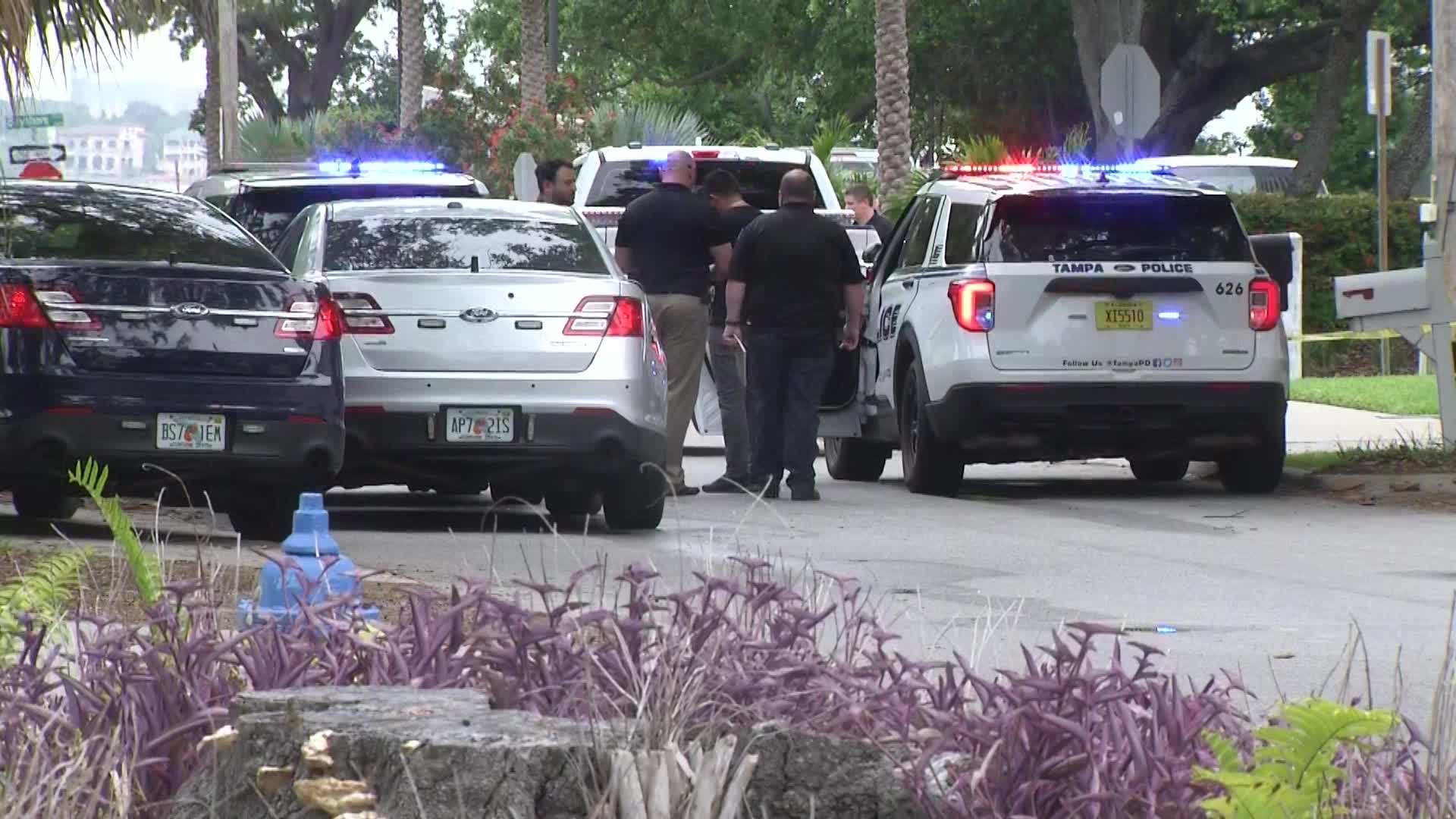 Tampa Fatal Pedestrian crash – WFLA