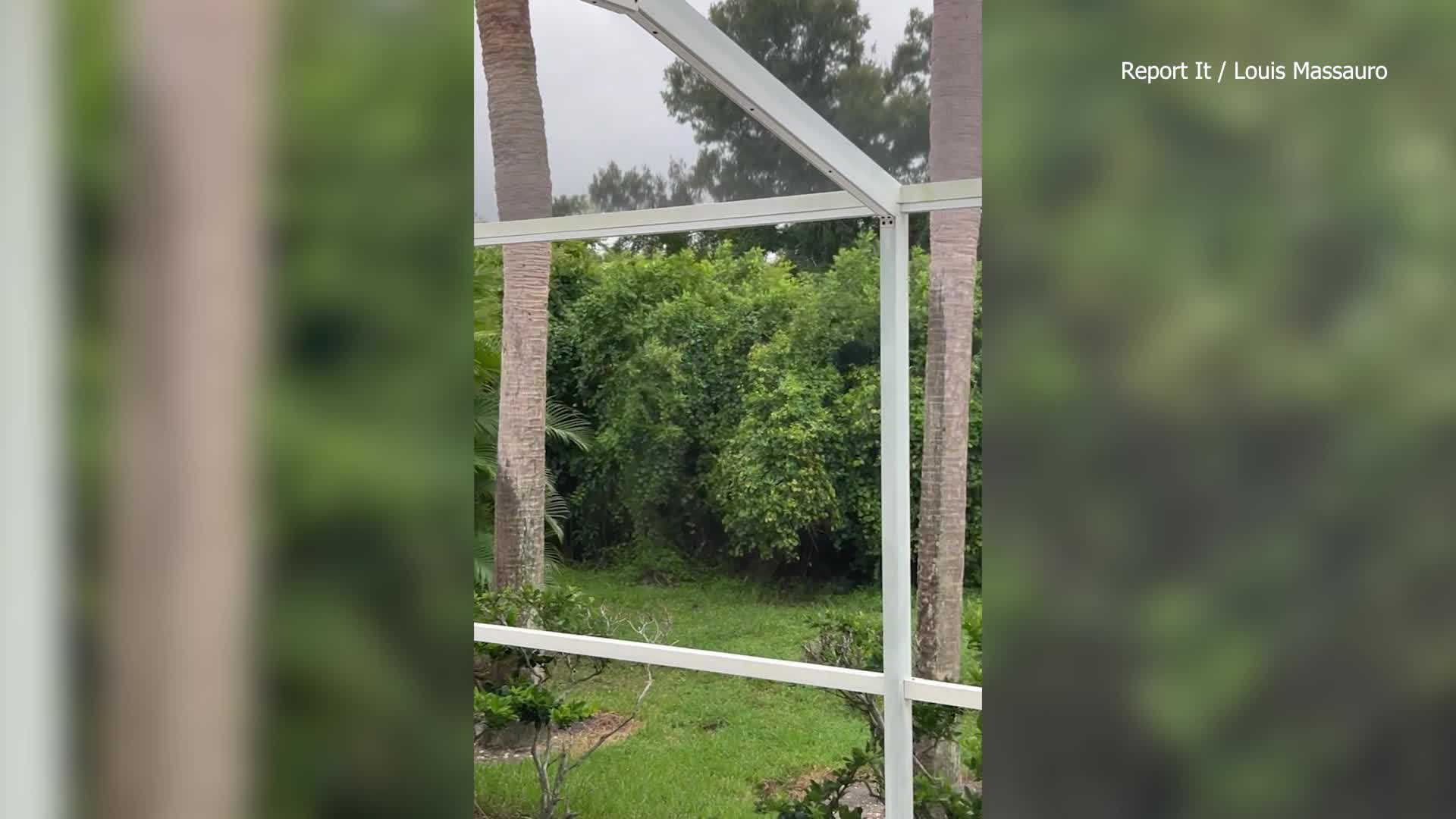 Winds picking up in Venice – WFLA